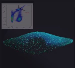 Services - Cambridge Antibody Labs