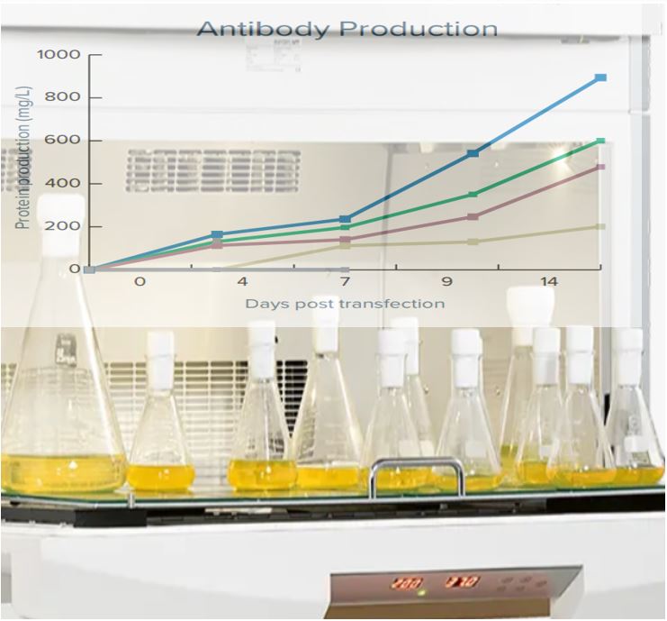 Services - Cambridge Antibody Labs